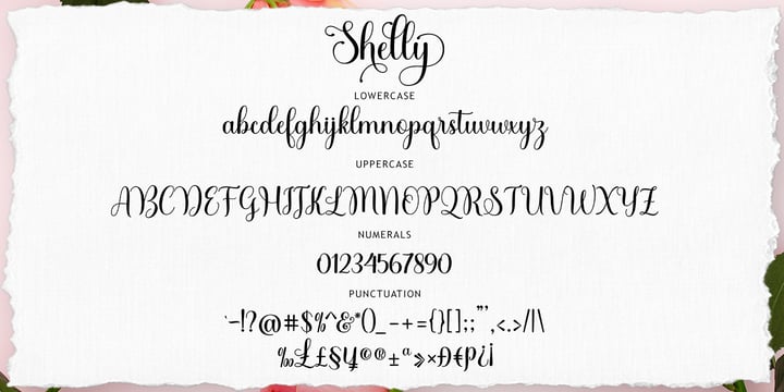 Shelly Script Font | Webfont & Desktop | MyFonts