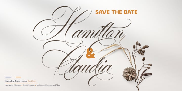 Desirable Brust Texture Font | Webfont & Desktop | MyFonts