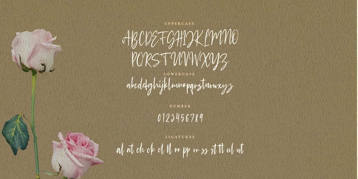 Puertofino Font | Webfont & Desktop | MyFonts