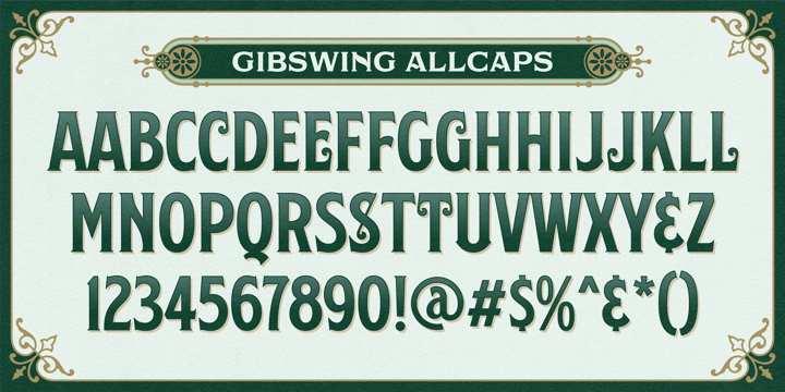 NS Gibswing Font | Webfont & Desktop | MyFonts