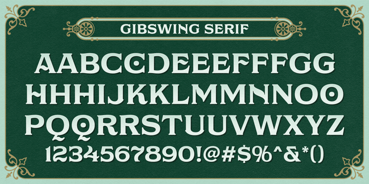 NS Gibswing Font | Webfont & Desktop | MyFonts