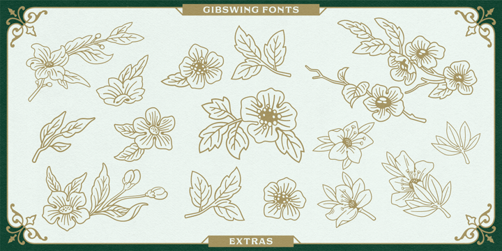 NS Gibswing Font | Webfont & Desktop | MyFonts