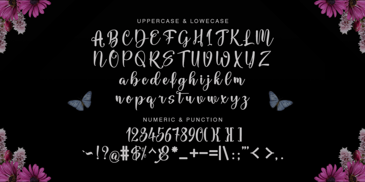 Sathya Script Font | Webfont & Desktop | MyFonts