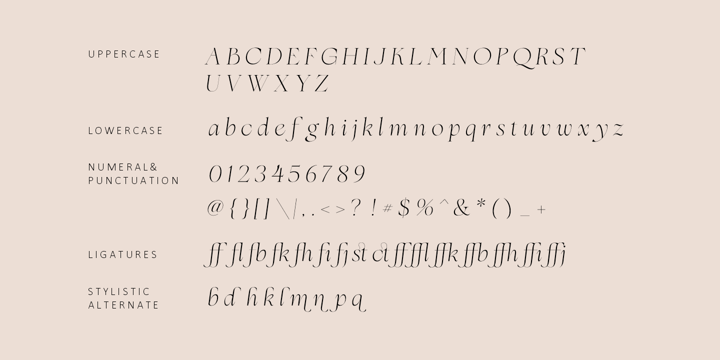 Floreal Font | Webfont & Desktop | MyFonts