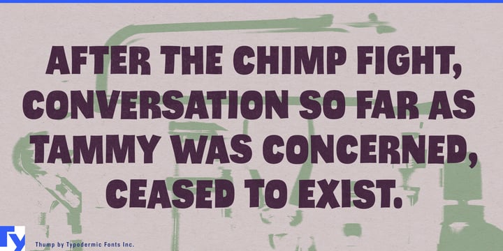 Thump Font | Webfont & Desktop | MyFonts