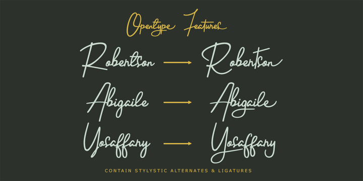 Handletter Signature Font | Webfont & Desktop | MyFonts
