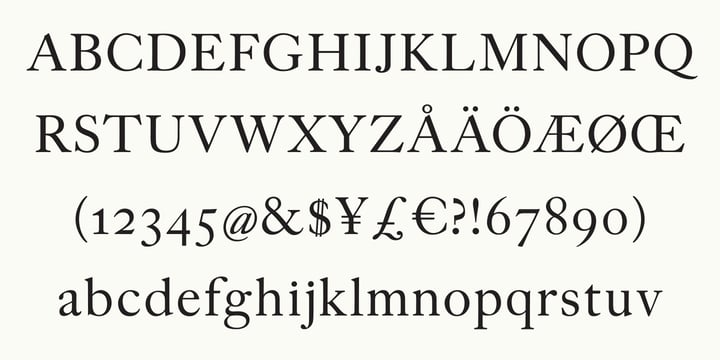 Replay Pro Font | Webfont & Desktop | MyFonts