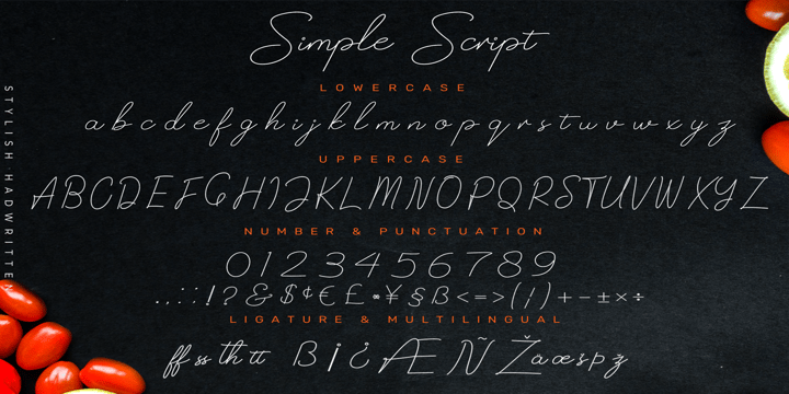 Simple Script Font | Webfont & Desktop | MyFonts