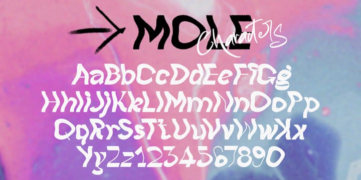 Mole Display Font | Webfont & Desktop | MyFonts