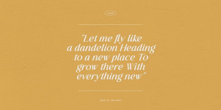 Lessa Font | Webfont & Desktop | MyFonts