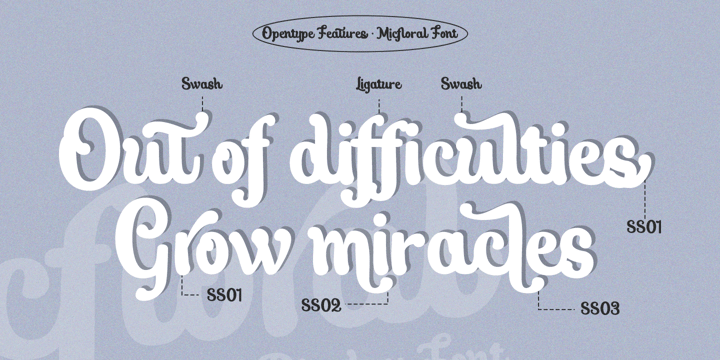 Micfloral Font | Webfont & Desktop | MyFonts