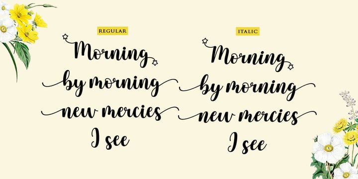 Lady July Font | Webfont & Desktop | MyFonts