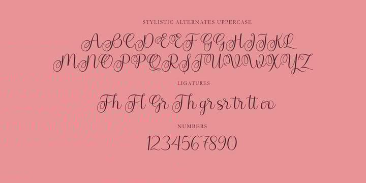 Healing Script Font | Webfont & Desktop | MyFonts