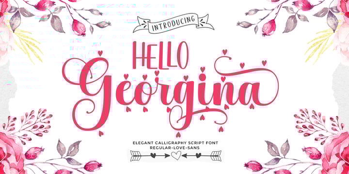 Hello Georgina Script Font | Webfont & Desktop | MyFonts