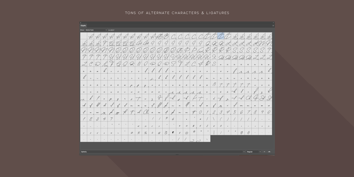 The Handwritten Watermark Font | Webfont & Desktop | MyFonts