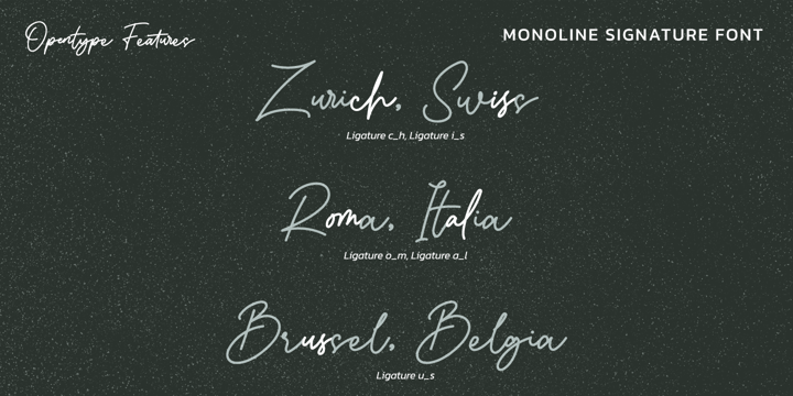 Highpath Signature Font | Webfont & Desktop | MyFonts