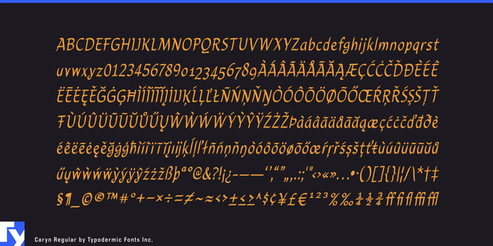 Caryn Font | Webfont & Desktop | MyFonts