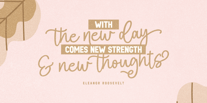 Walnut Cream Font | Webfont & Desktop | MyFonts