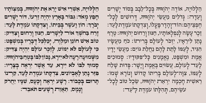 Hebrew Ariel Std Font | Webfont & Desktop | MyFonts