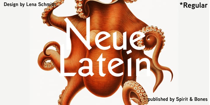 Neue Latein Font | Webfont & Desktop | MyFonts