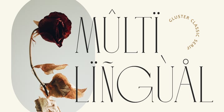 Gluster Font | Webfont & Desktop | MyFonts