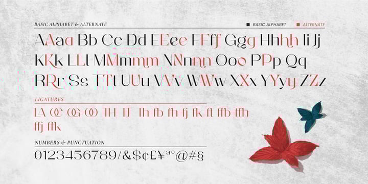 Raemoon Font | Webfont & Desktop | MyFonts