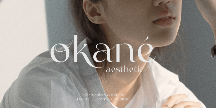 Argue Font | Webfont & Desktop | MyFonts