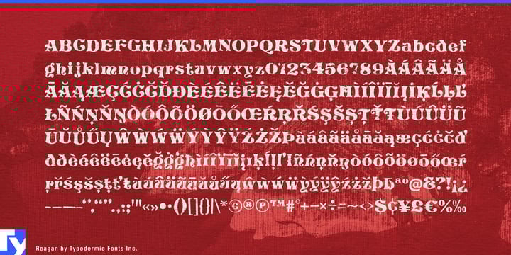 Reagan Font | Webfont & Desktop | MyFonts