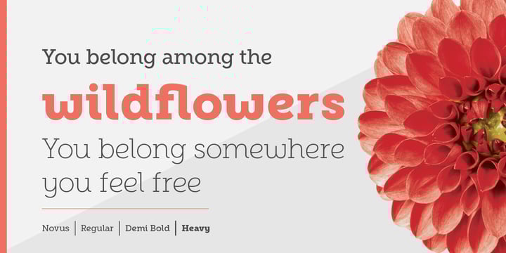 Novus Font | Webfont & Desktop | MyFonts