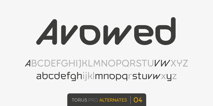 Torus Pro Font | Webfont & Desktop | MyFonts