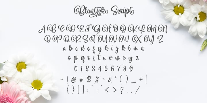 Blantick Script Font | Webfont & Desktop | MyFonts