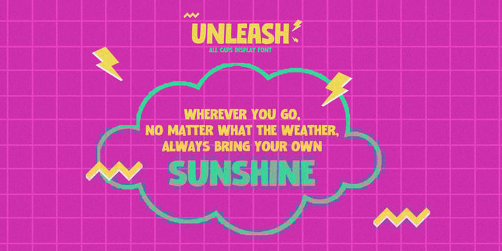 Unleash Font | Webfont & Desktop | MyFonts