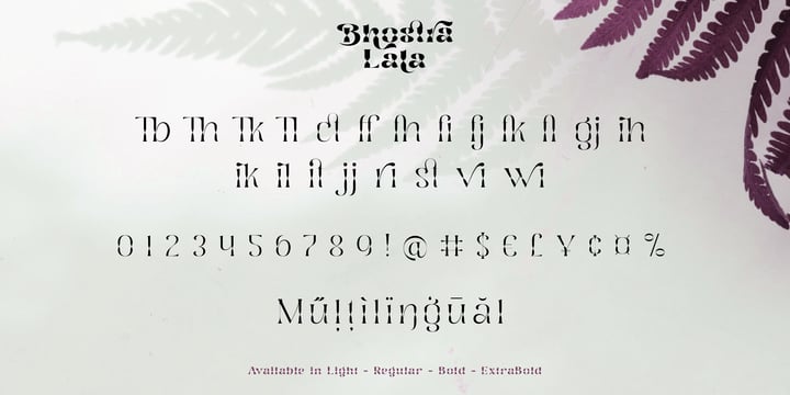 Bhostra Lala Font | Webfont & Desktop | MyFonts