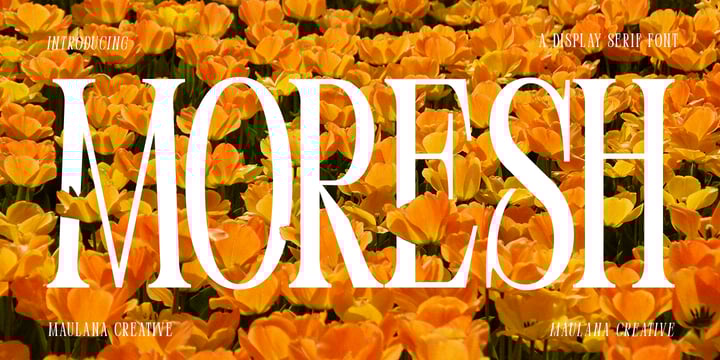 MC Moresh Font | Webfont & Desktop | MyFonts