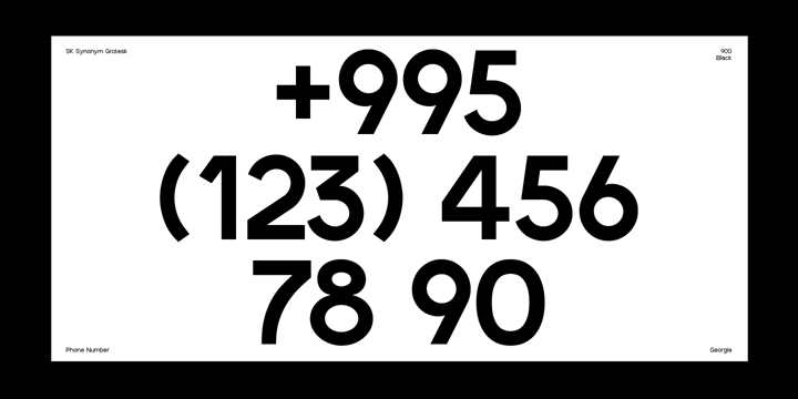 SK Synonym Grotesk Font | Webfont & Desktop | MyFonts