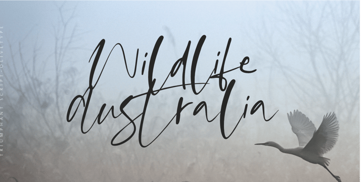 Triumphant Font | Webfont & Desktop | MyFonts