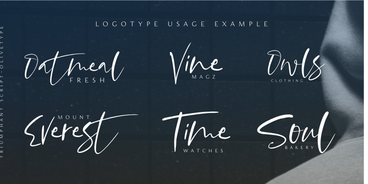 Triumphant Font | Webfont & Desktop | MyFonts