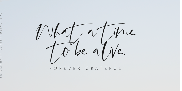 Triumphant Font | Webfont & Desktop | MyFonts