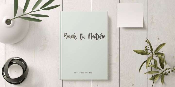 Merijola Font | Webfont & Desktop | MyFonts