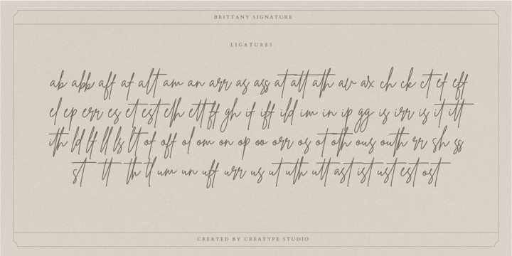 Brittany Signature Font | Webfont & Desktop | MyFonts