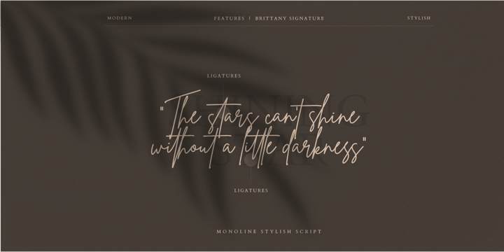 Brittany Signature Font | Webfont & Desktop | MyFonts