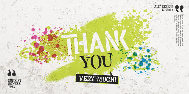 Sunkist Agness Font | Webfont & Desktop | MyFonts