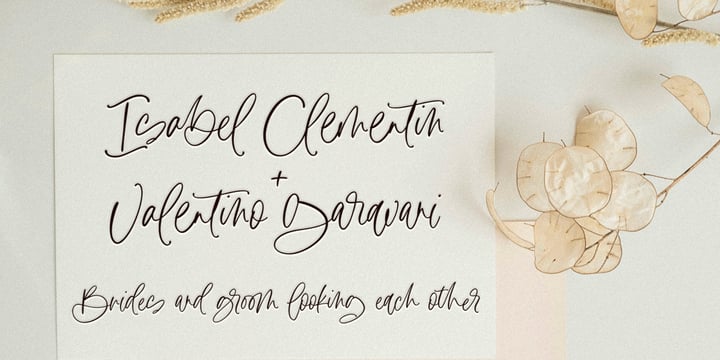 Diary Writing Font | Webfont & Desktop | MyFonts