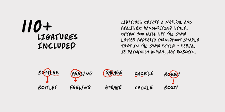 Serial Font | Webfont & Desktop | MyFonts