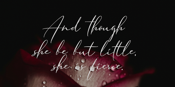 Armando Font | Webfont & Desktop | MyFonts