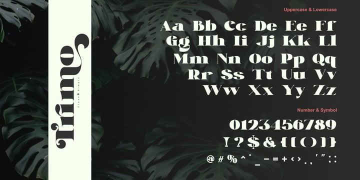 Trimo Font | Webfont & Desktop | MyFonts