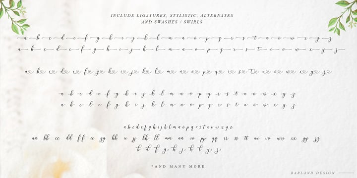 Hey Lady Script Font | Webfont & Desktop | MyFonts