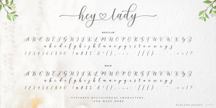 Hey Lady Script Font | Webfont & Desktop | MyFonts