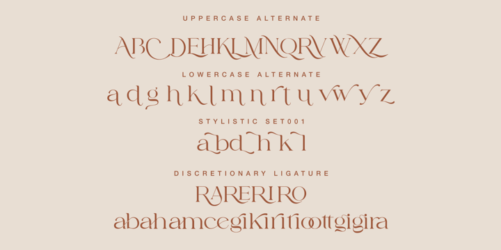 Zn Fragile Font | Webfont & Desktop | MyFonts