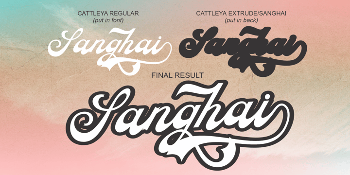 Cattleya Font | Webfont & Desktop | MyFonts